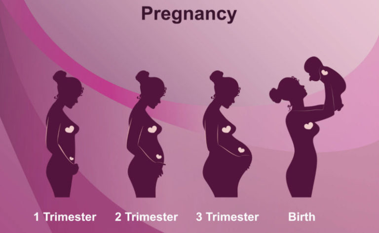 How a woman's body changes during 9 months of pregnancy.