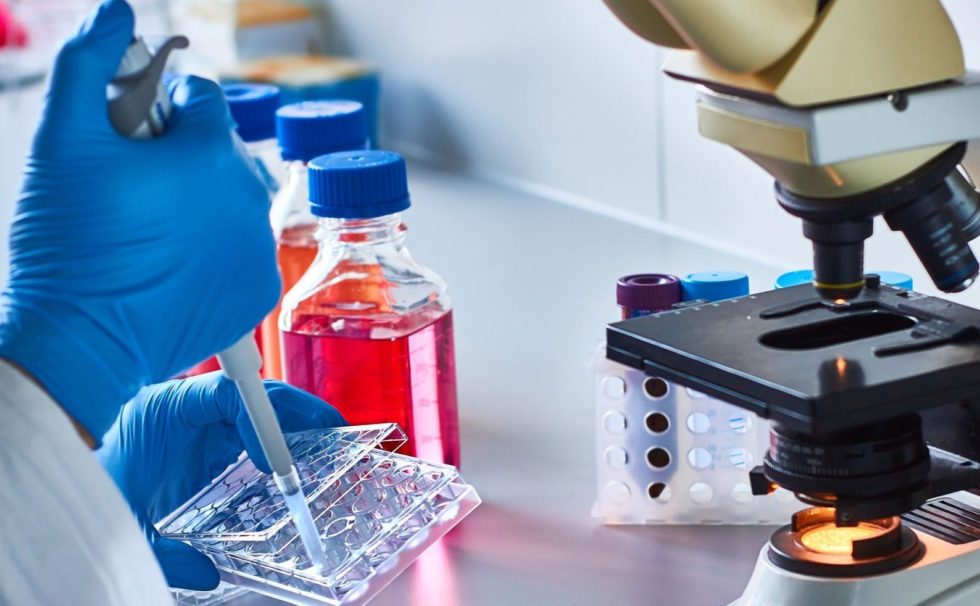 TissueQES Processing Method Verifies Stem Cell Growth